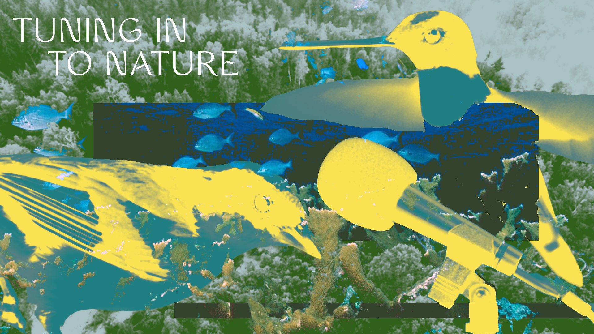Tuning in to Nature • Container Magazine